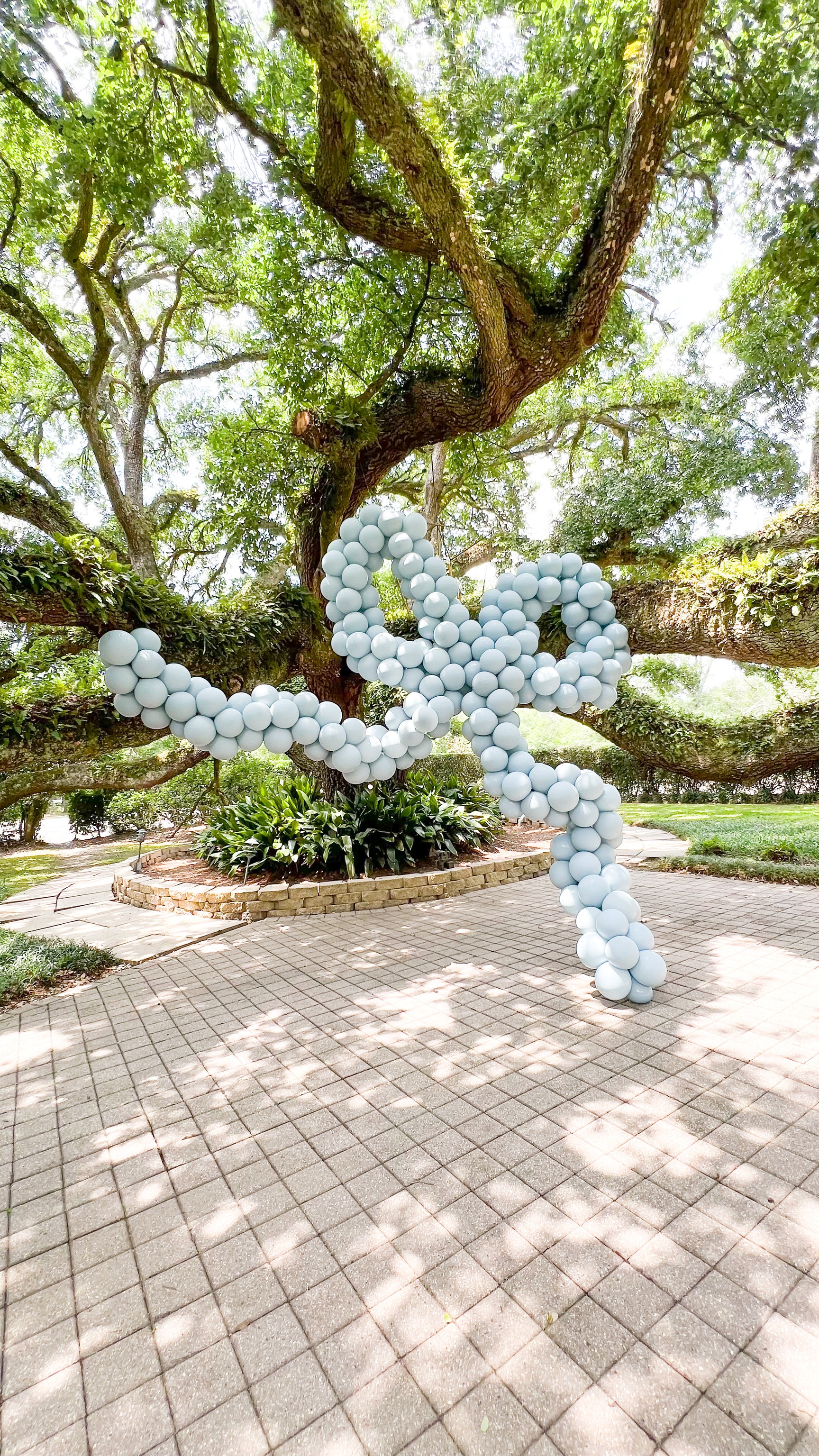 Balloon Services for Covington Louisiana – The Graceful Host Party Shop